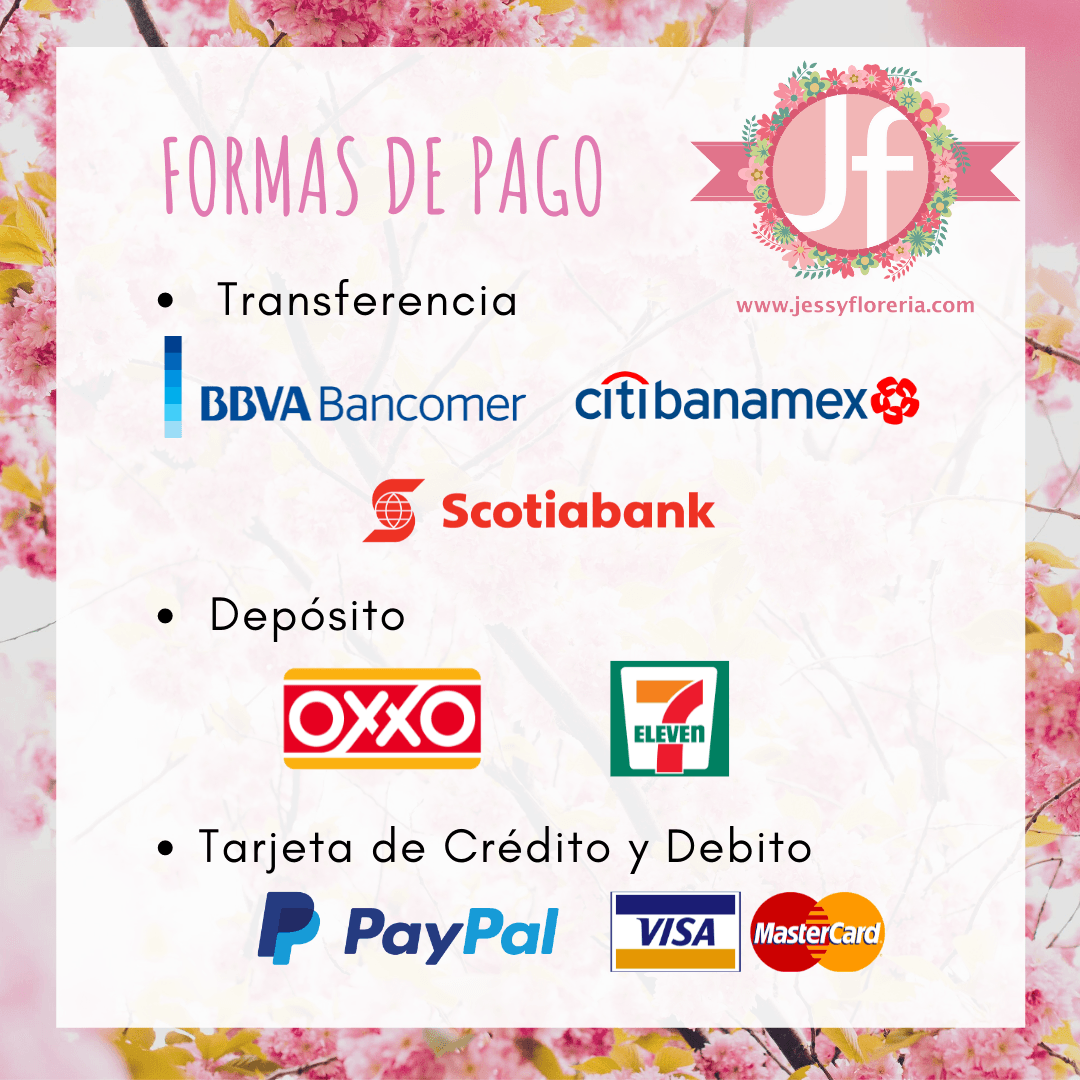 Formas de Pago - Envíos Gratis Mismo Día 2 a 4 Hrs